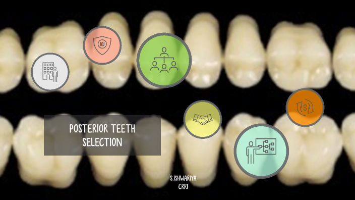 posterior teeth selection by Ishwariya on Prezi