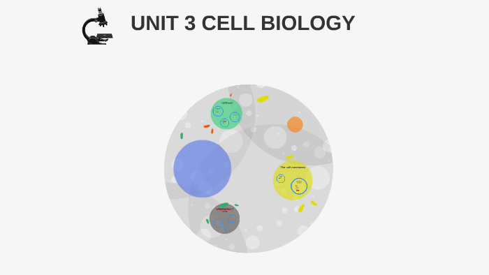 UNIT 3 CELL BIOLOGY by Jennifer Gil on Prezi