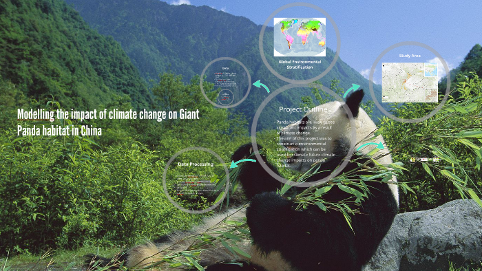 Modelling the impact of climate change on Giant Panda habita by David ...