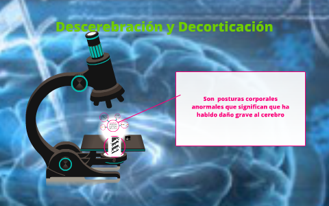 Descerebraciòn y Decorticacion by JHONNY MONTOYA on Prezi