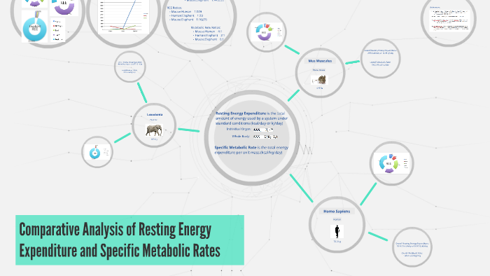 Resting Energy Expenditure by on Prezi