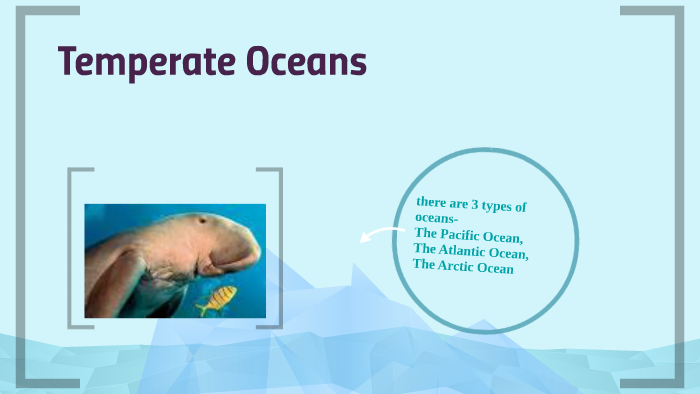 Temperate Oceans by Stephanie Polanco