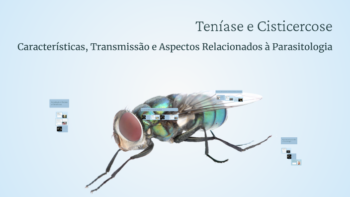 Teníase e Cisticercose by Andressa De Lima on Prezi
