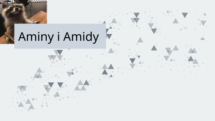 Aminy i amidy by Tosia Langner on Prezi