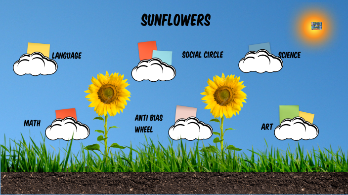 SUNFLOWER PROJECT APPROACH by Orlando Daniel De La Torre on Prezi