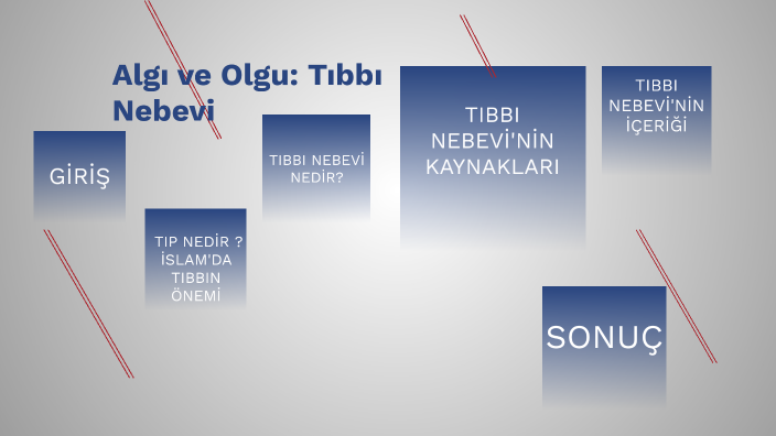 TIBBI NEBEVİ by NURDAN TÖKEL on Prezi
