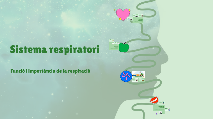 Sistema respiratori by Benicio Felipe Vera Gomez on Prezi