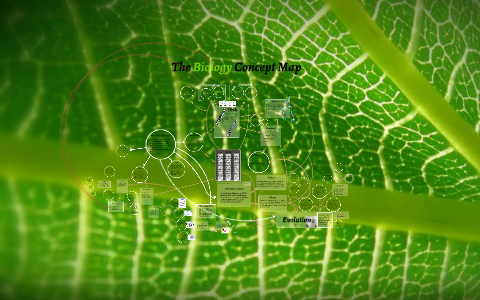 The Biology Concept Map by Larry the Great on Prezi