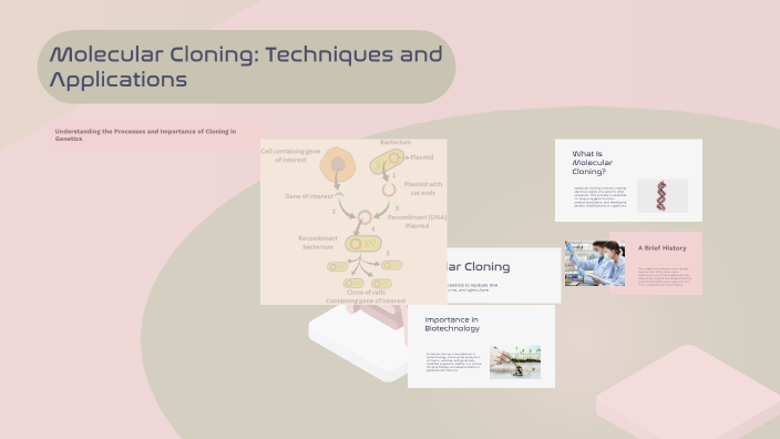 Molecular Cloning: Techniques and Applications by Sindhu V 23MBT0033 on ...