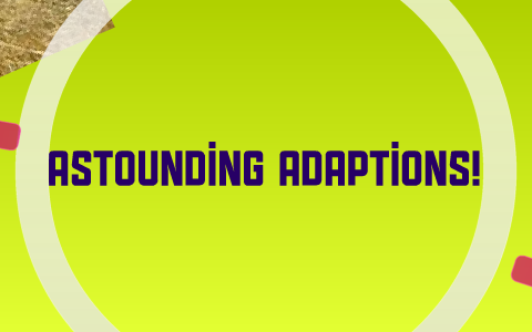 Astounding Adaptations! by Anna Kocis on Prezi