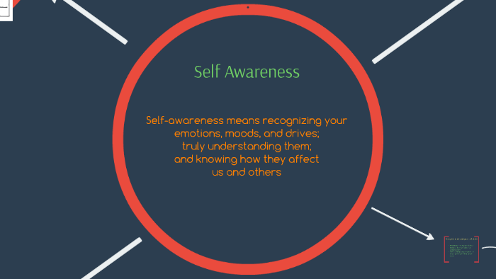Self Awareness by Chaos on Prezi