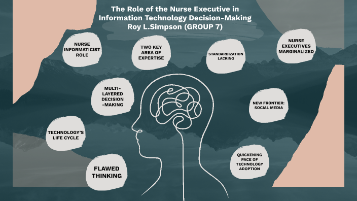 The Role of the Nurse Executive in Information Technology Decision ...