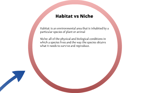 townsend mole habitat and niche by michael rinker on Prezi