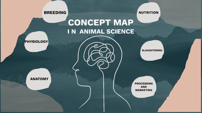 CONCEPT MAP I N ANIMAL SCIENCE by Josh Eduard Monilla on Prezi
