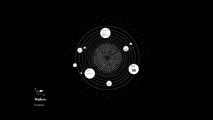 wolves life cycle by cole davis on Prezi