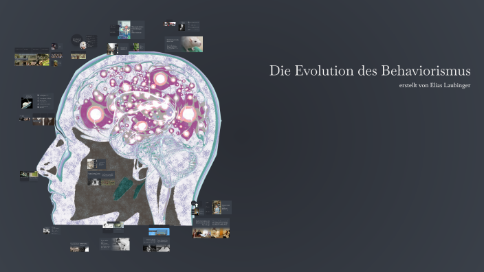 Die Evolution des Behaviorismus by julius 1 on Prezi