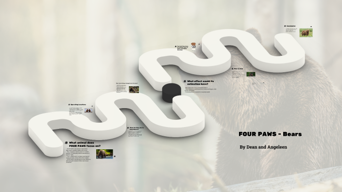 FOUR PAWS Bears Initiative by Ninja Turtle on Prezi