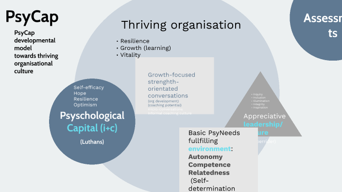 PsyCap by Evelina Savickaite on Prezi