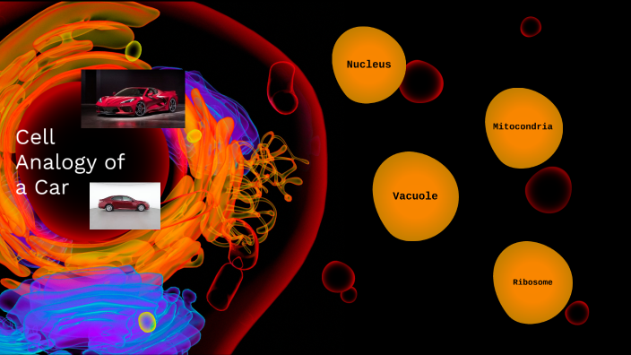 Cell Analogy of a Car by Rafael Davery on Prezi