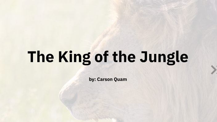 The King of the Jungle by Carson Quam on Prezi