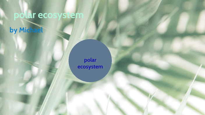 polar ecosystem by Michael Grano on Prezi