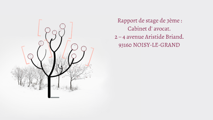 Rapport de stage de 3ème by Sarah lebegue on Prezi