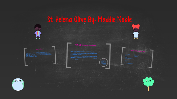 St. Helena Olive by maddie noble on Prezi