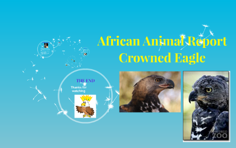 African Animal Report by on Prezi