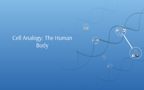 Cell Analogy: The Human Body by Holly Yoho on Prezi