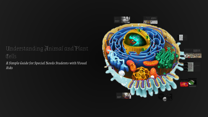 Understanding Animal and Plant Cells by Teenu Gupta - Sir Winston ...