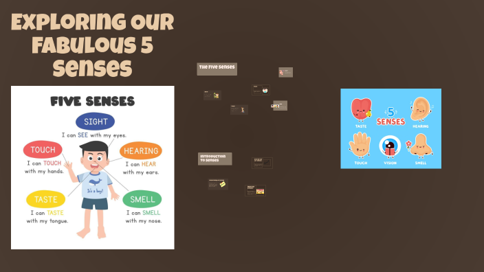 Exploring Our Fabulous 5 Senses by Sammy Hall on Prezi