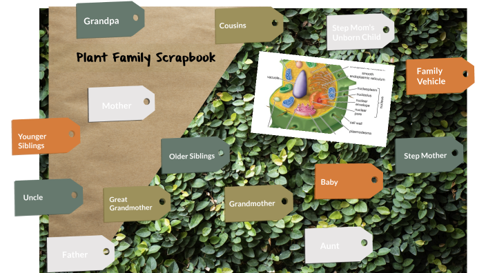 Cell Family Scrapbook by Paris Coney on Prezi
