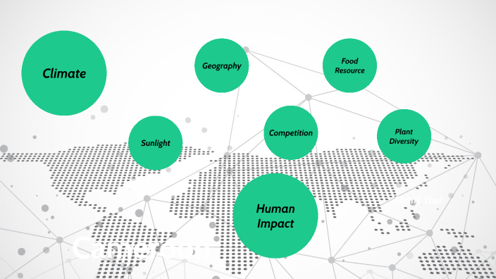 Human Impact Project by Nicholas Pryce on Prezi