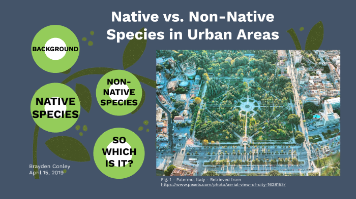 Native VS Non-native plant species in Urban Areas by Brayden Conley on ...