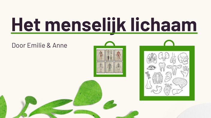 Menselijk lichaam by anne mank on Prezi