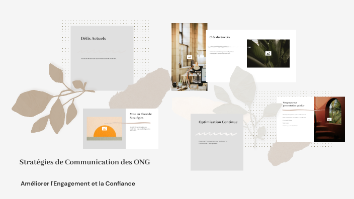 Stratégies de Communication des ONG by Lucille Lugo on Prezi