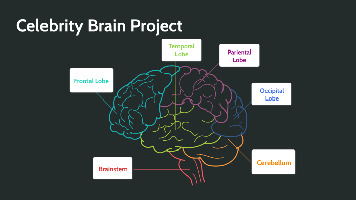 Celebrity Brain Project by Liliana Ulaj on Prezi