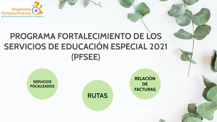PROGRAMA FORTALECIMIENTO DE LOS SERVICIOS DE EDUCACIÓN ESPECIAL (PFSEE) by kenia osorio on Prezi