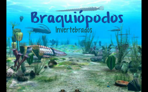 Brachiopoda - Priapulida by Sebastian Valencia on Prezi