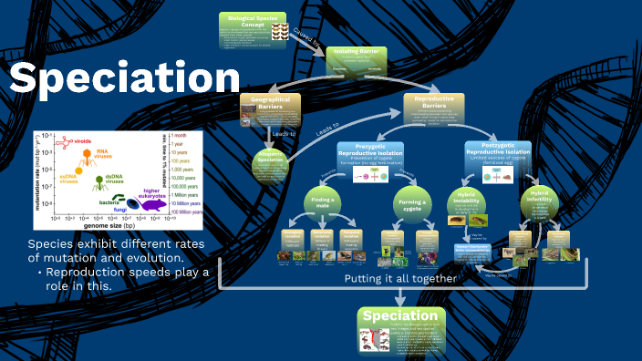 Jocelynn King - Evolution Concept Map by Jocelynn King on Prezi