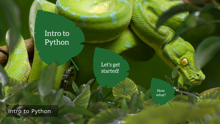 Intro to Python by Ivy Nguyen on Prezi