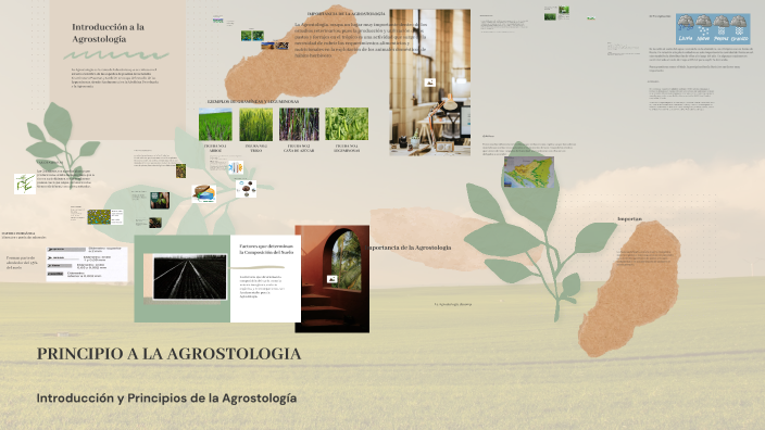 PRINCIPIO A LA AGROSTOLOGIA by Haisnor Velásquez Rojas on Prezi