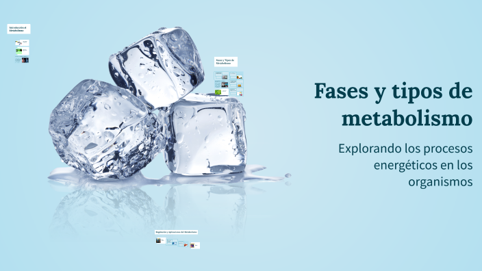 Fases y tipos de metabolismo by Girl_xtlv on Prezi
