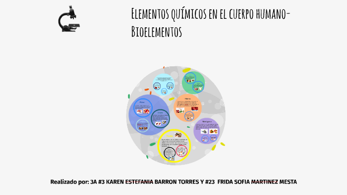 Elementos quimicos en el cuerpo humano by Frida Sofia Martinez Mesta on ...