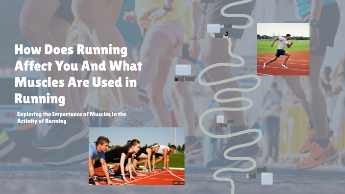 The Muscles Used in Running by Luke Johnson on Prezi