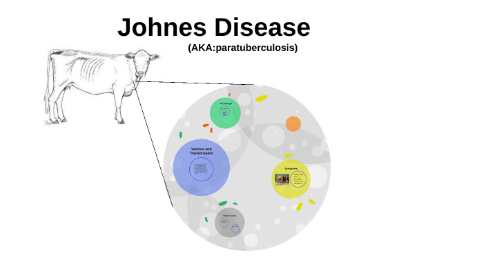 Johnes Disease Project by Dylan Dossett on Prezi