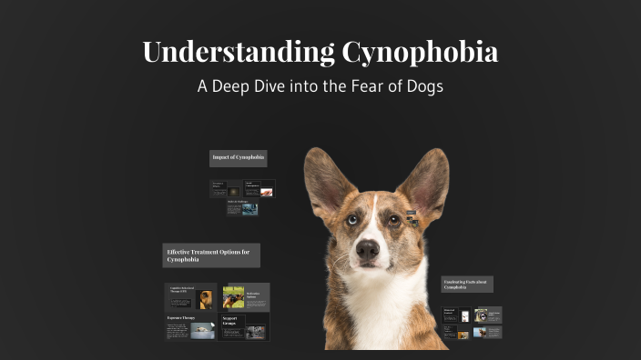 Understanding Cynophobia by olivia grant on Prezi