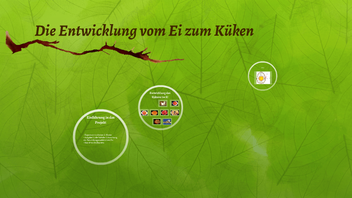 Die Entwicklung vom Ei zum Küken by Olli Oll on Prezi