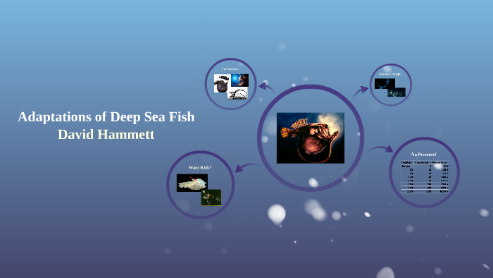 Adaptations of Deep Sea Fish by David Hammett on Prezi