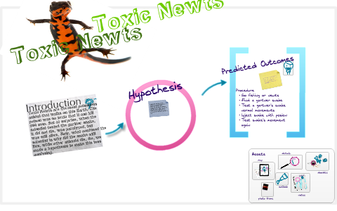 Toxic Newts by Brooke Keeylen on Prezi